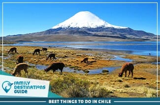 best things to do in chile