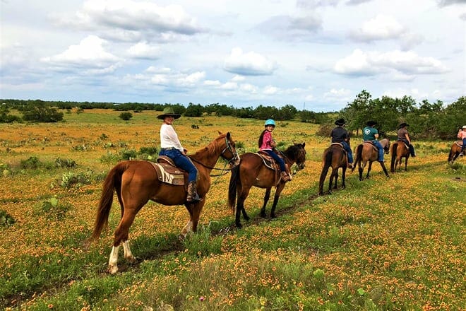 bit & bridle stables