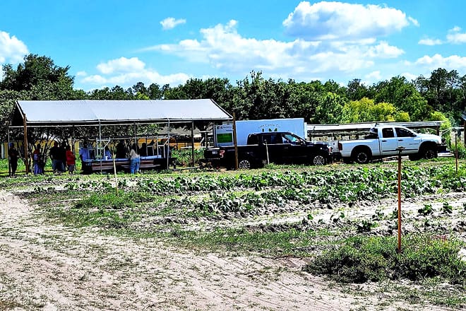 boyette family farms