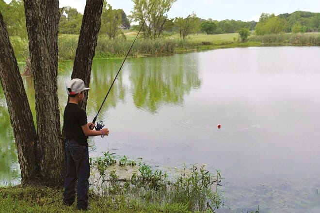 bradfield village park
