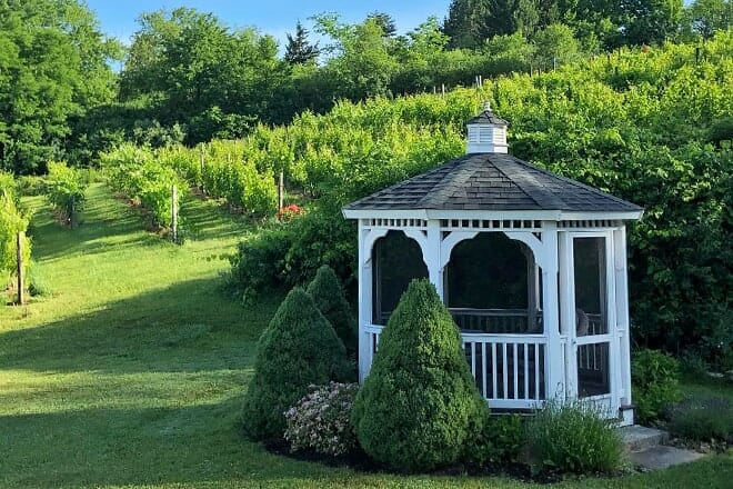 cjs vineyards & aurelius winery