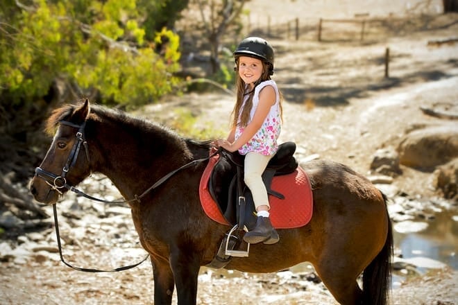 cades cove riding stables