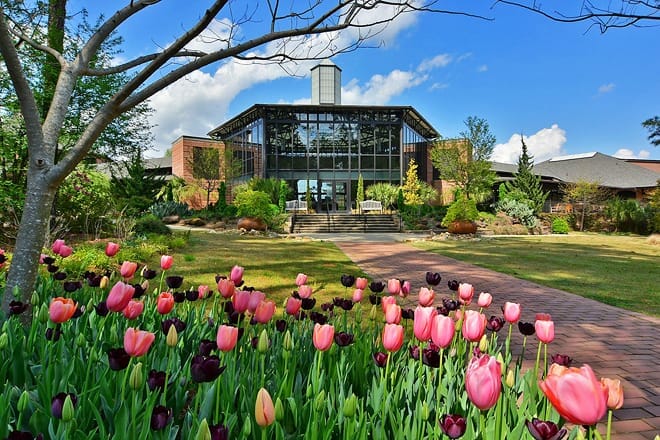 cape fear botanical garden