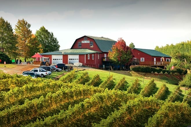 carter mountain orchard