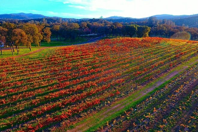 casto oaks fine wine and art