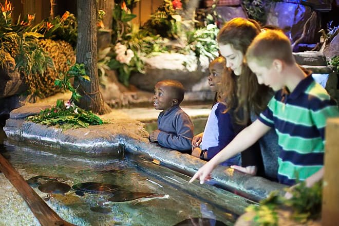 catawba science center