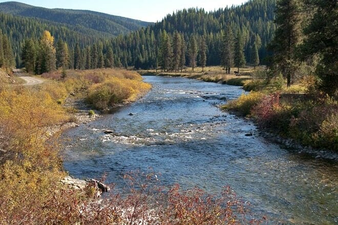 Coeur d'Alene National Forest