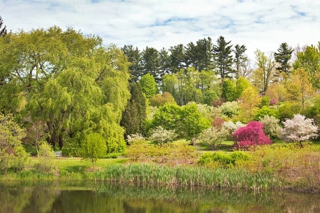 cornell botanic gardens