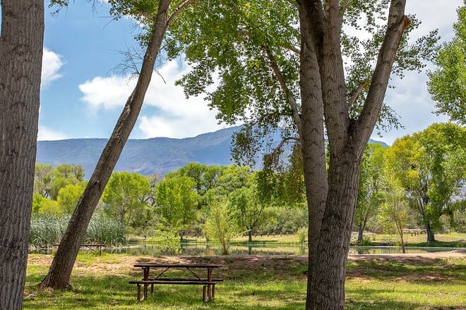dead horse ranch state park &mdash; cottonwood