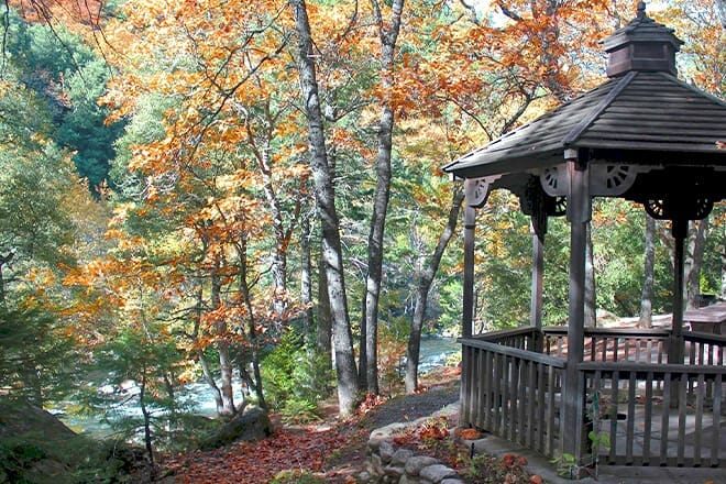 dunsmuir botanical gardens