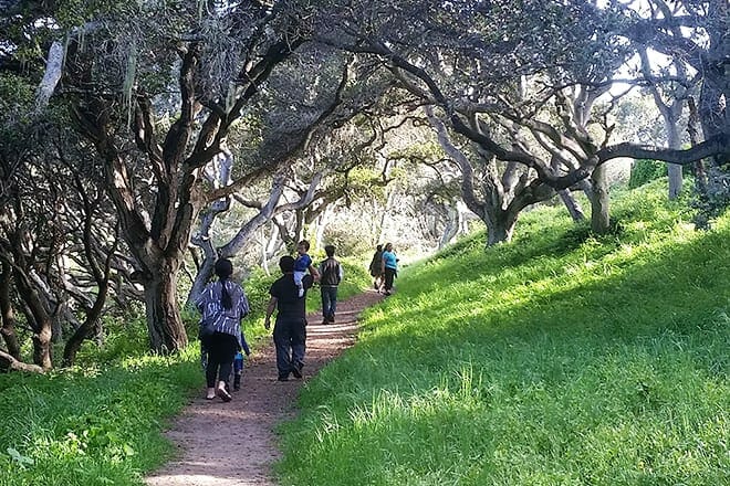 frog pond wetland preserve