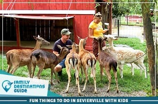fun things to do in sevierville with kids
