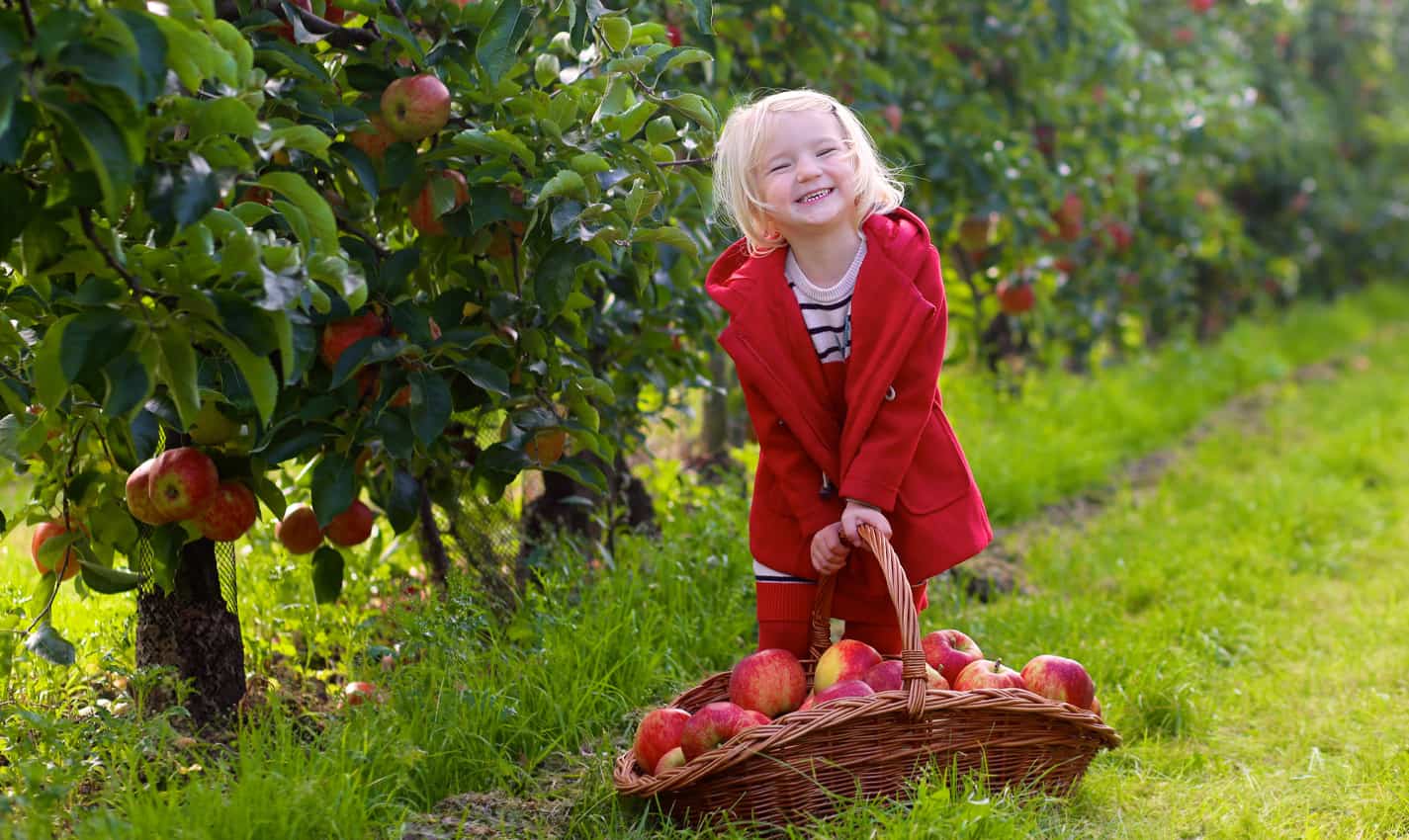 fun things to do in south haven with kids