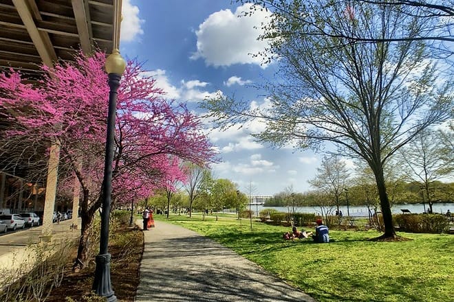 georgetown waterfront
