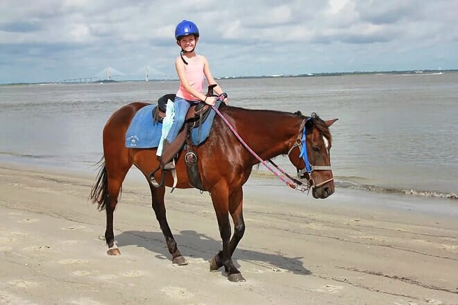 golden isles carriage and trail at three oaks farm