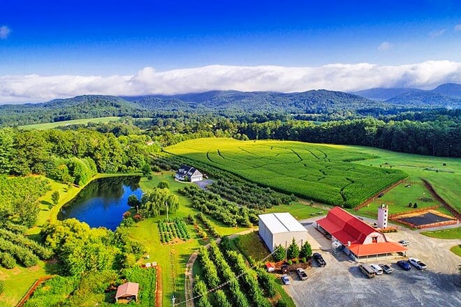 grandad's apples n' such