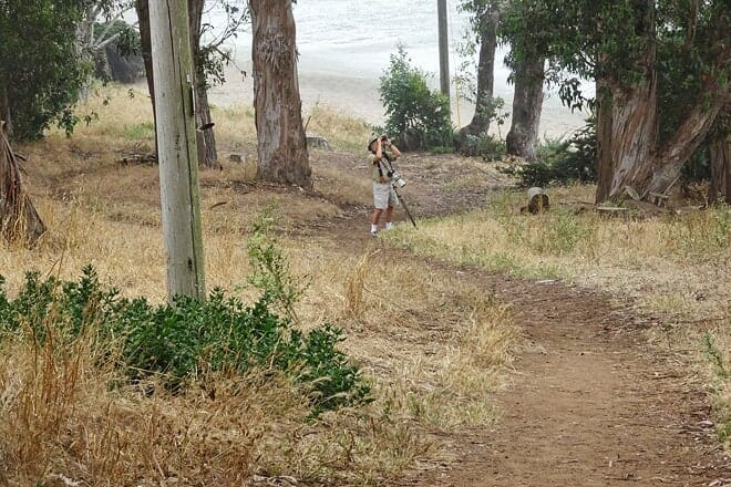 heron and cormorant rookery