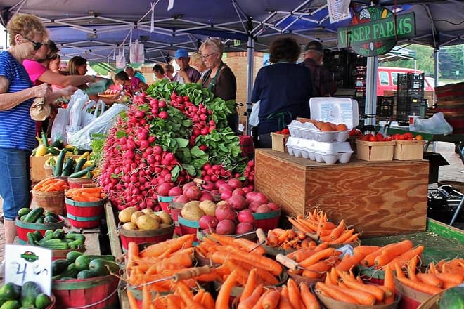 holland farmers market