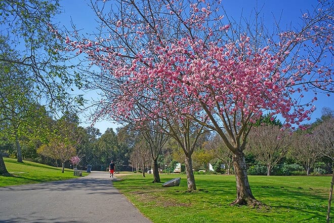 huntington central park