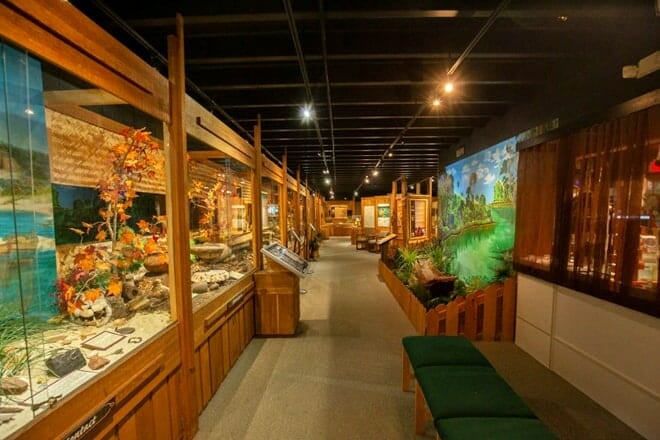 indian temple mound and museum