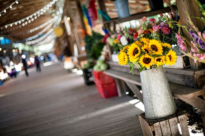 ithaca farmers market