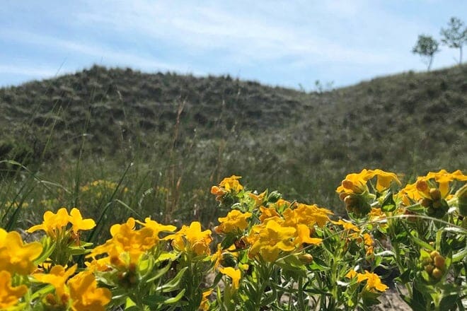 kitchel lindquist dunes preserve