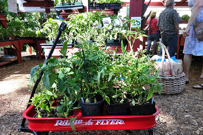 Kootenai County Farmers' Market