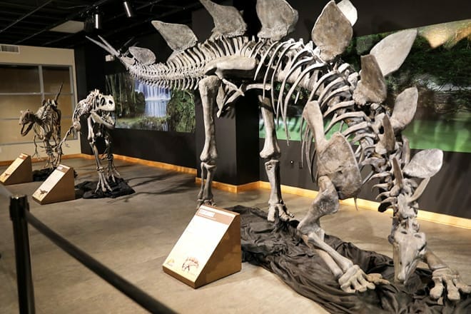 lafayette science museum