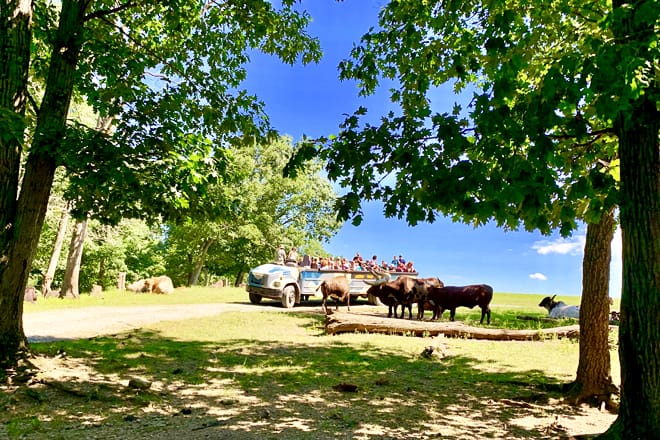 Lake Tobias Wildlife Park