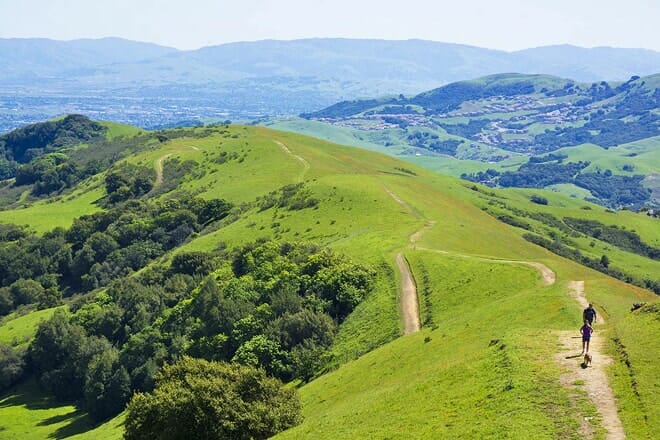 las trampas regional wilderness