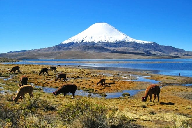 lauca national park &mdash; putre