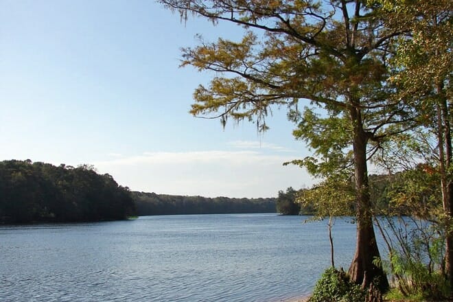 lower suwannee national wildlife refuge