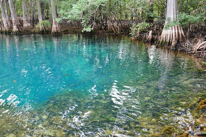 manatee springs state park