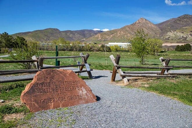 matheson wetlands preserve