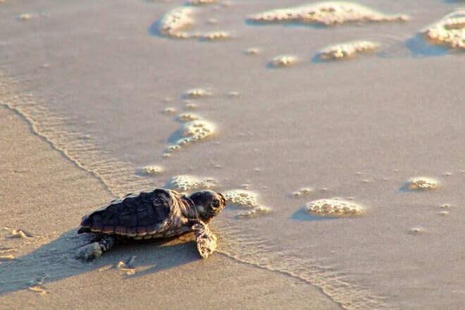 melbourne beach &mdash; indialantic