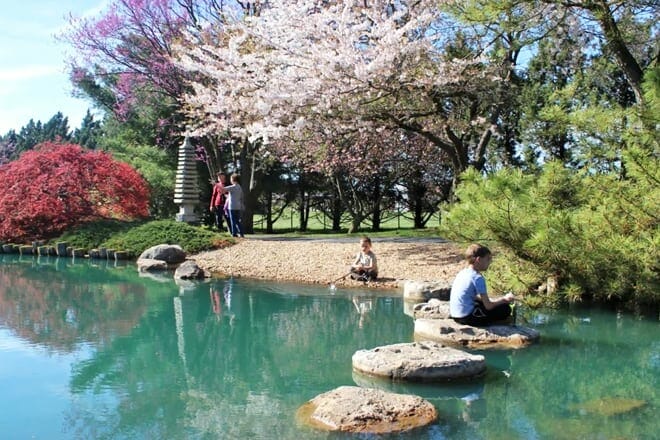 mizumoto japanese stroll garden