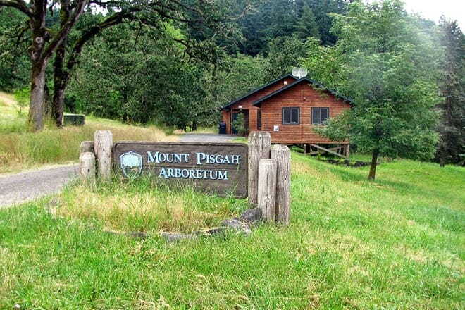 mount pisgah arboretum