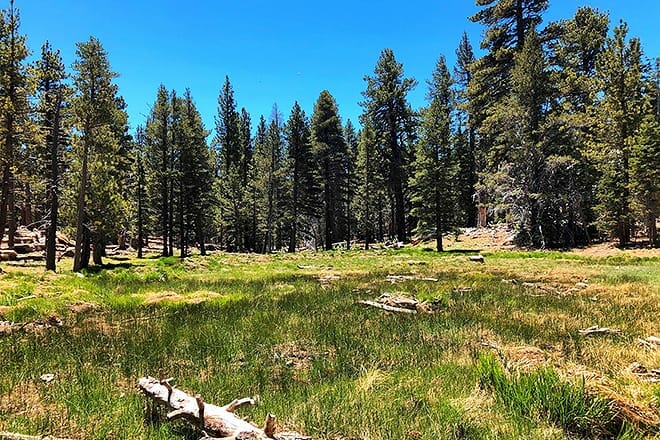mount san jacinto state park and wilderness