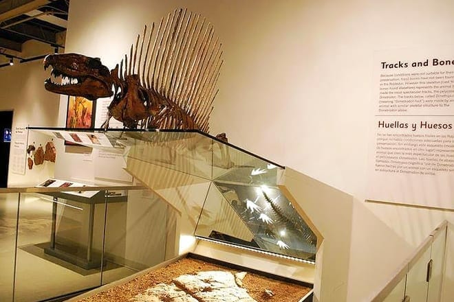 museum of nature & science