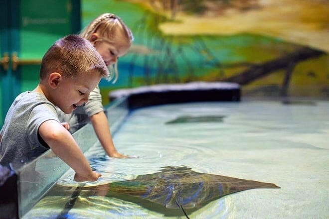 national mississippi river museum and aquarium