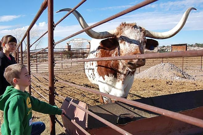 new mexico farm and ranch heritage museum