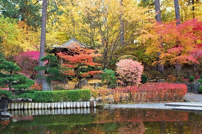 nishinomiya tsutakawa japanese garden