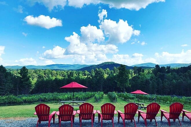 ott farms and vineyard