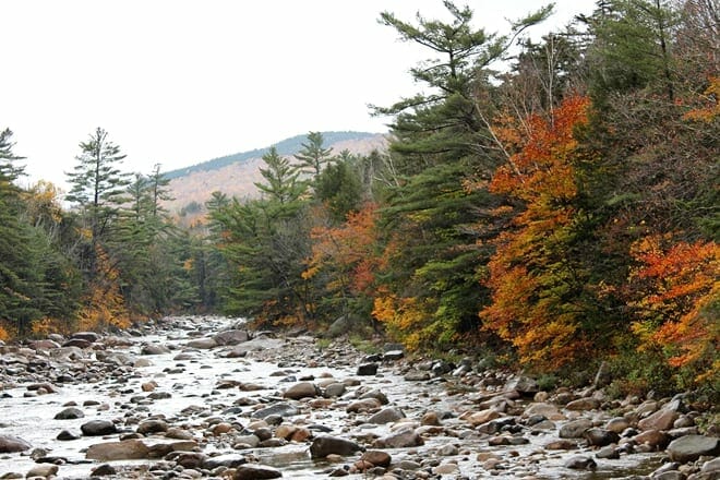 pemigewasset river