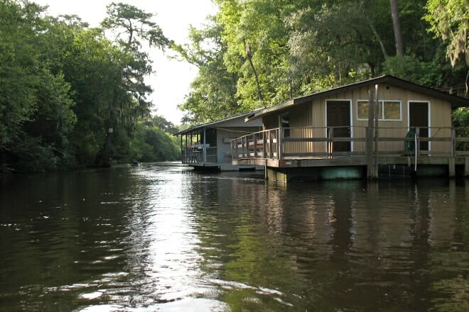 penholoway swamp wildlife management area