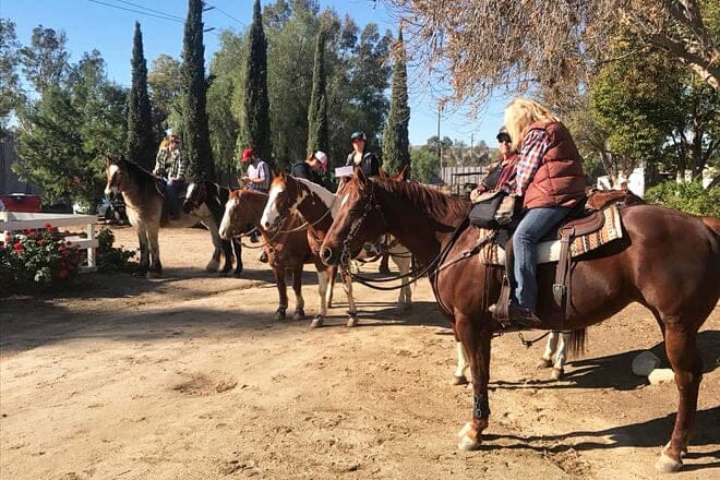 prado equestrian center