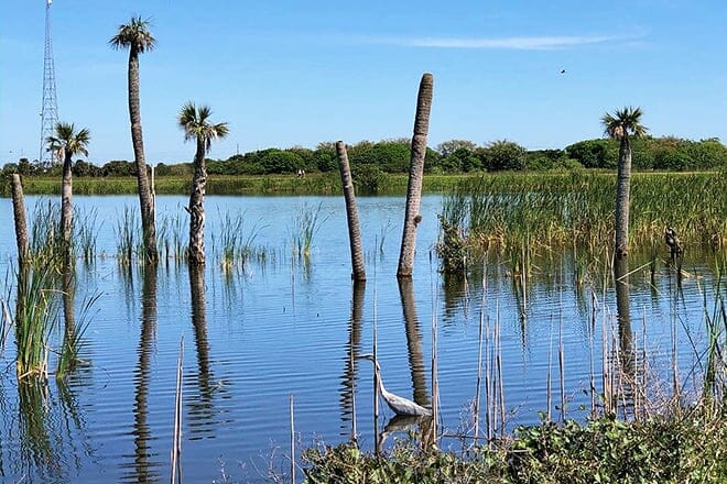 ritch grissom memorial wetlands &mdash; viera