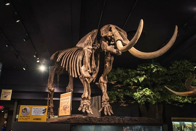 Rochester Museum & Science Center