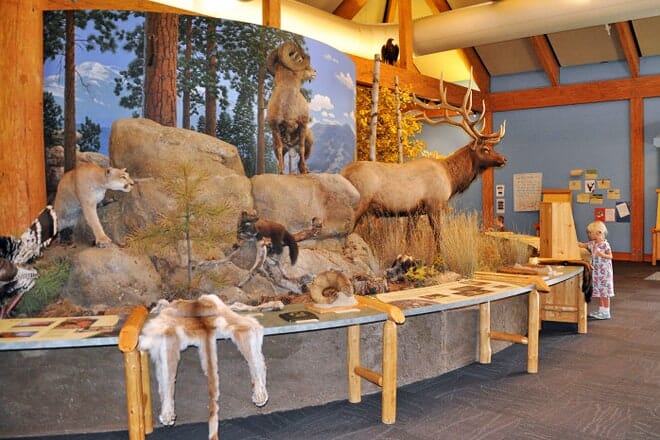 rocky mountain elk foundation & visitor center