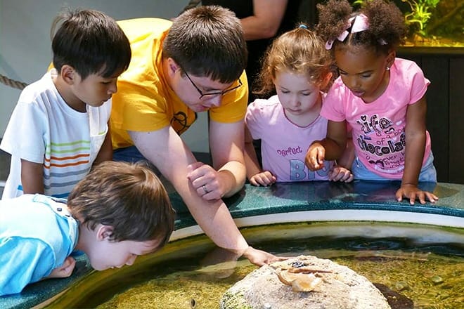 science museum of western virginia